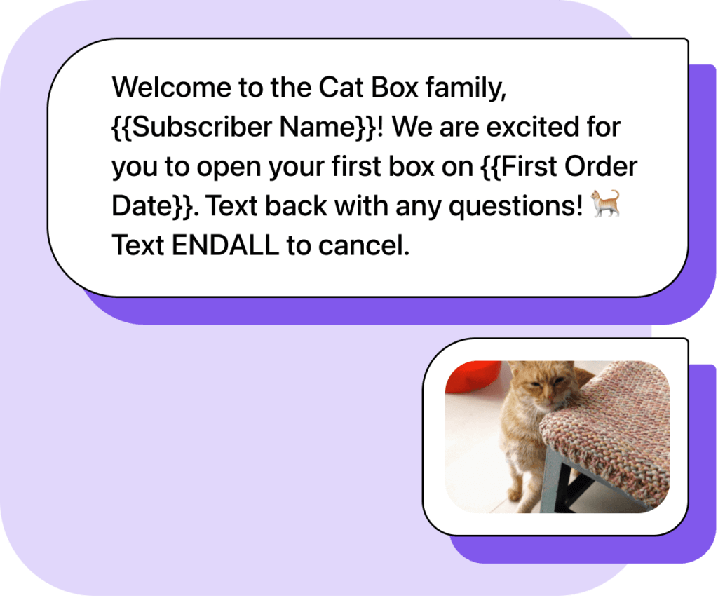 MMS vs SMS: Key Differences and How To Use Them